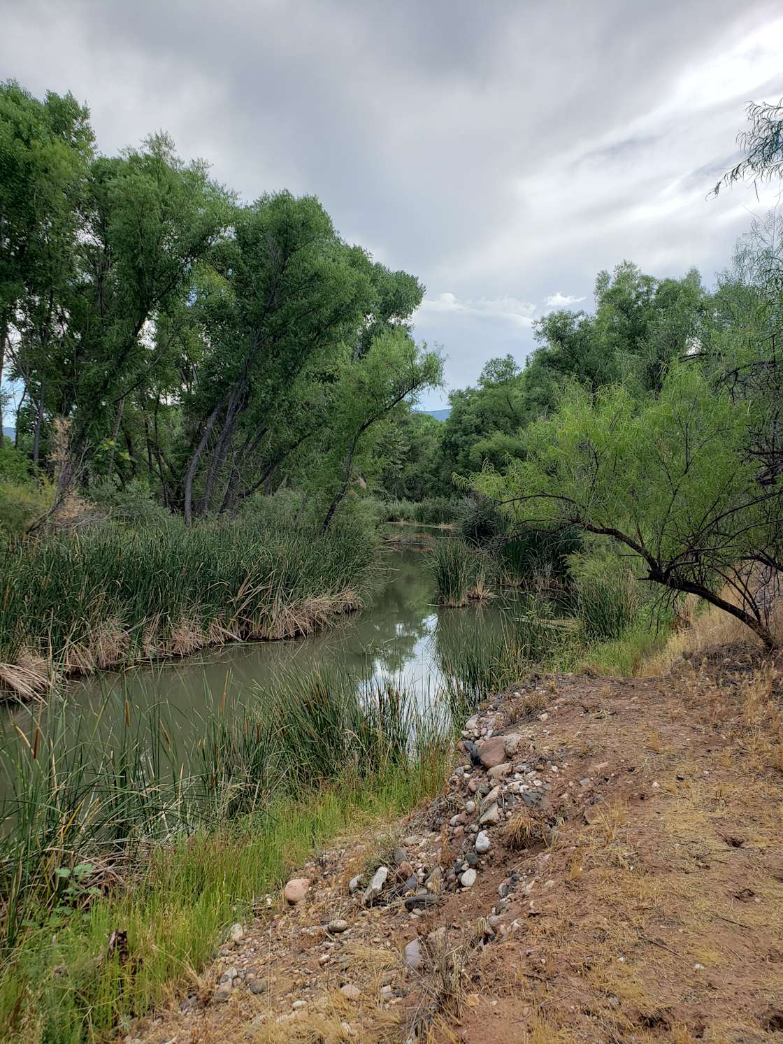 Verde River Vortex - Hipcamp in Clarkdale, Arizona