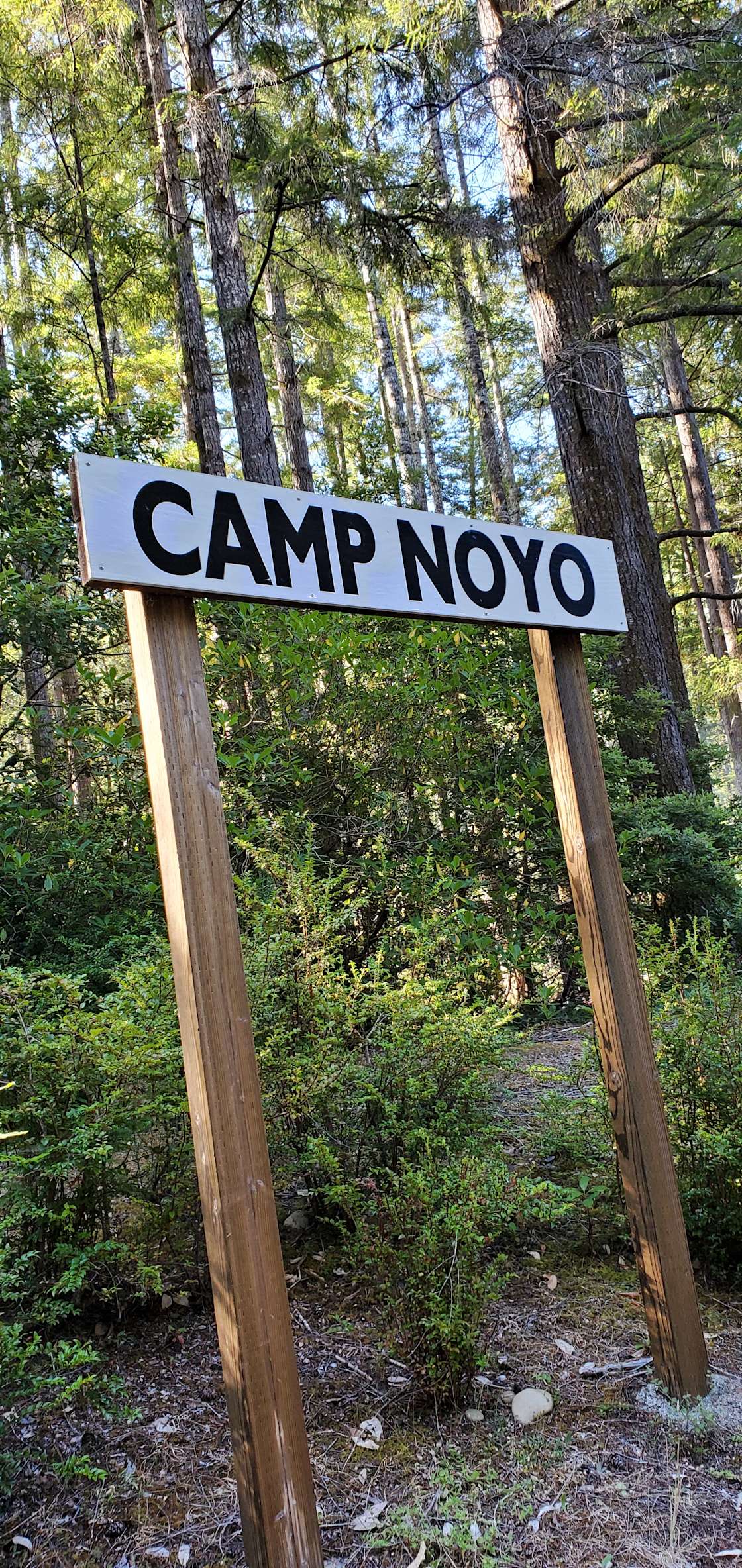 Camp Noyo - Hipcamp in Cleone, California