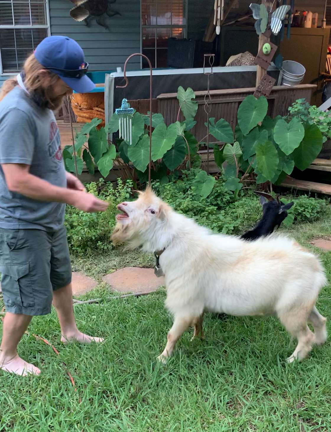 Goat Camp - Hipcamp in Jackson, Georgia