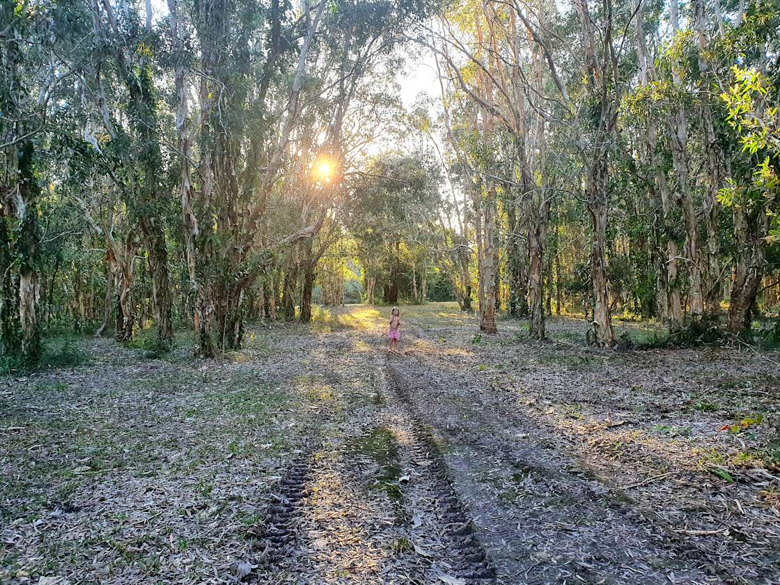 Cooroibah Magic - Hipcamp in Cooroibah, Queensland