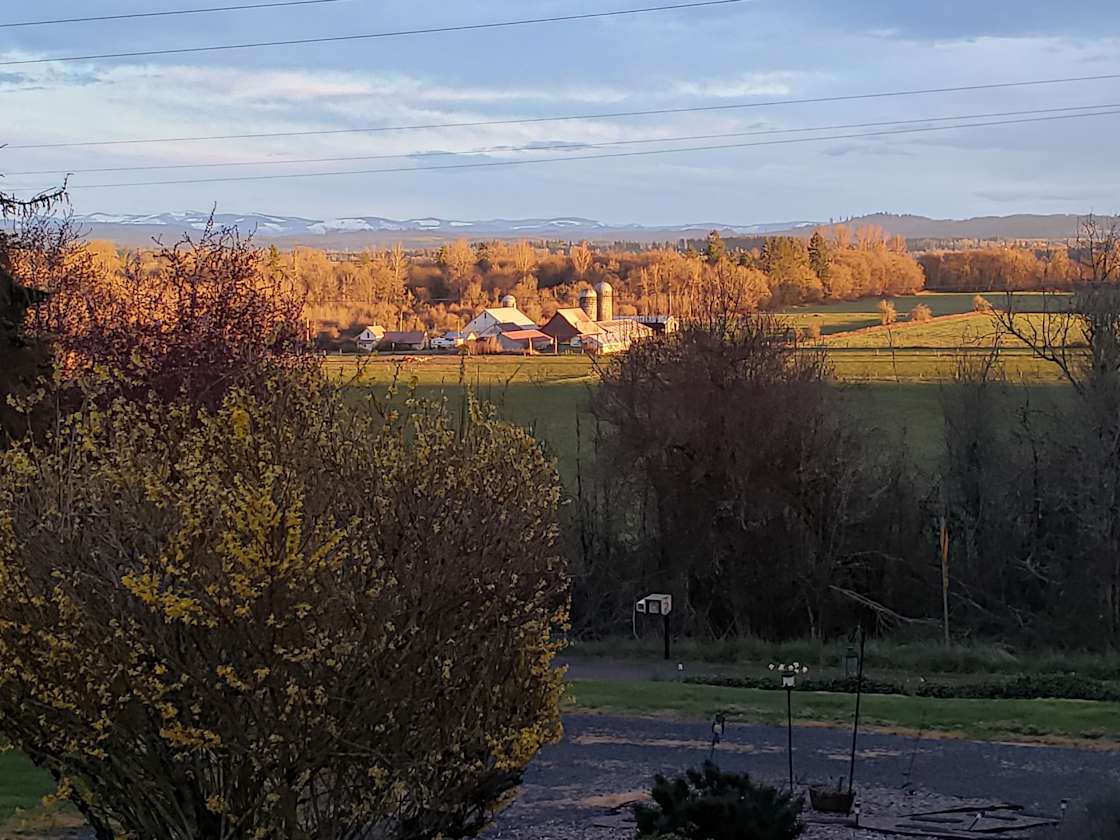 Quail Hill Farm - Hipcamp in Scio, Oregon