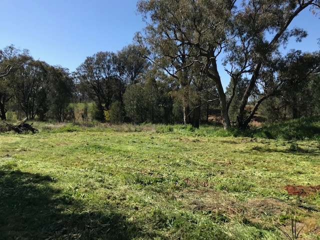 Cadagi Farm Stay in Central West NSW - Hipcamp in Dubbo, New South Wales