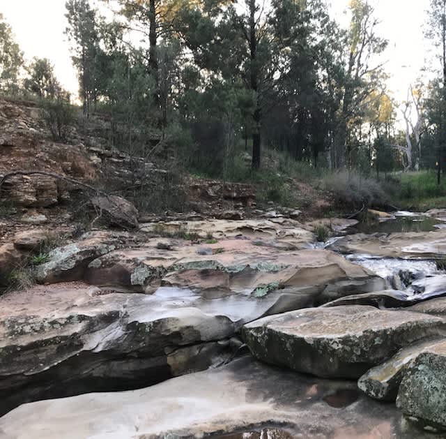 Cadagi Farm Stay in Central West NSW - Hipcamp in Dubbo, New South Wales