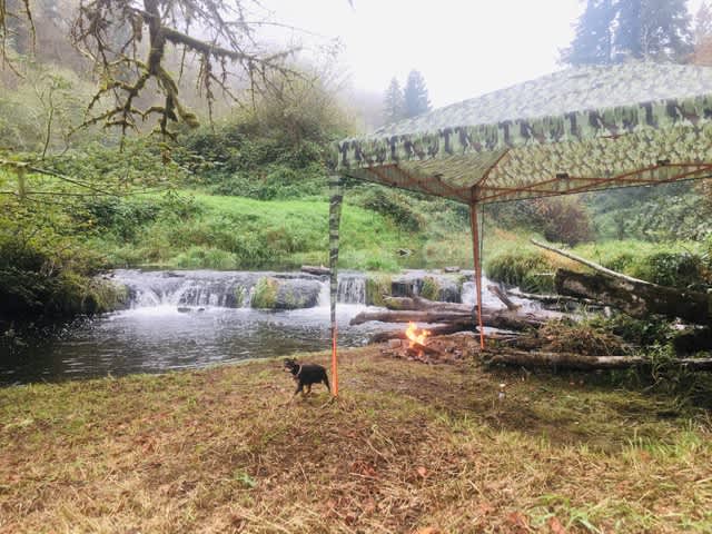 Beyond the Bridge - Hipcamp in Eddyville, Oregon