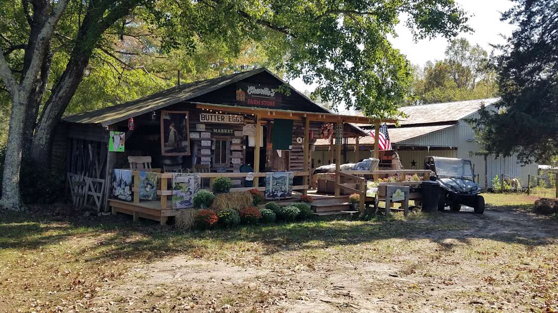 Brookhaven Mill Farm - Hipcamp in Greensboro, North Carolina