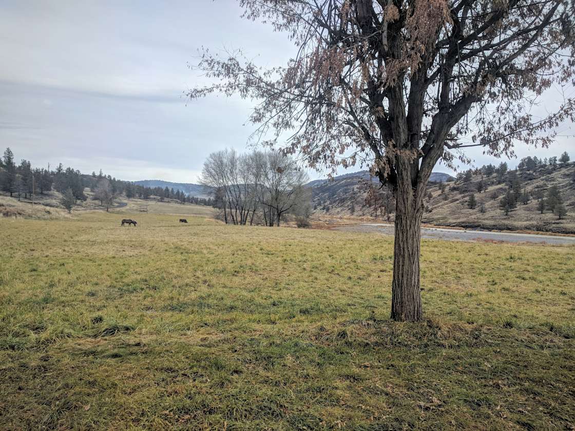 Circle W Ranch - Hipcamp in Spray, Oregon