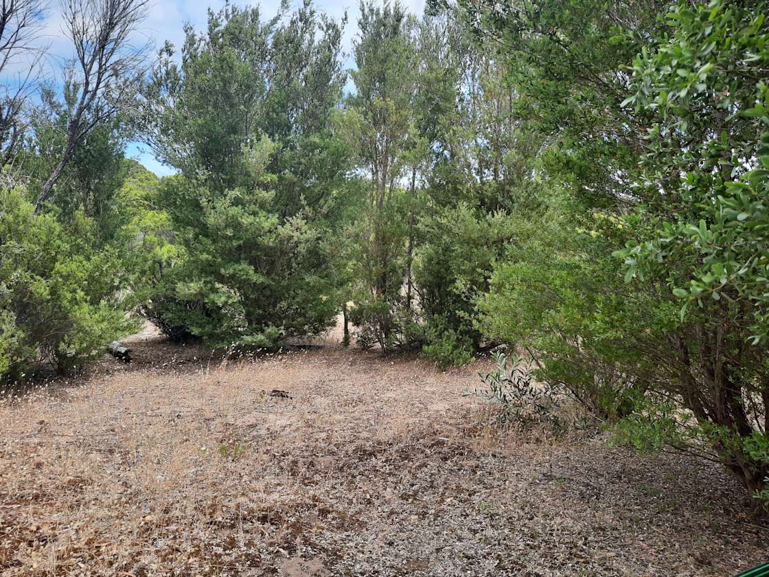 Robe Camel Farm - Self Contained Campers Only - Hipcamp in Mount Benson ...