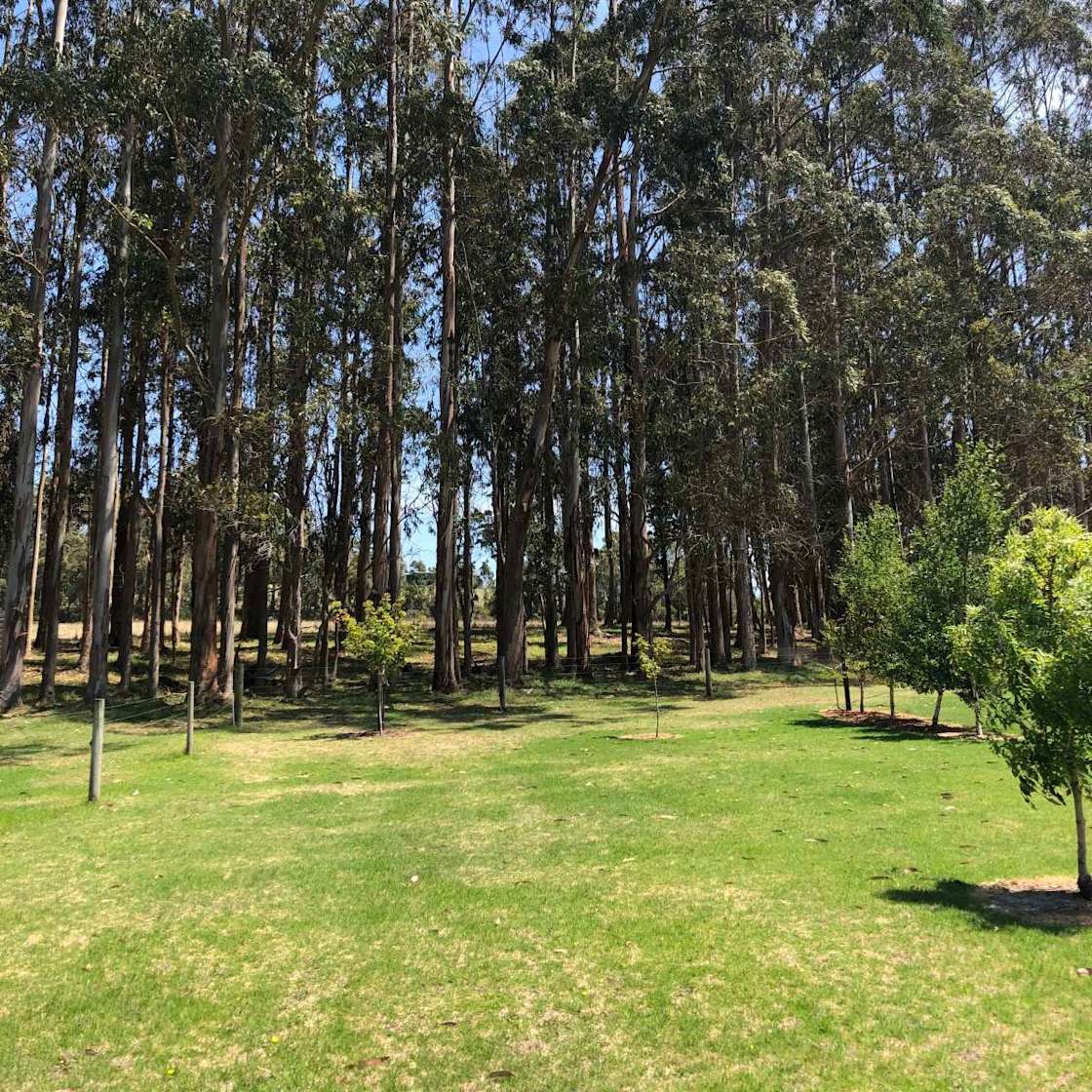 Rickety Gate Estate - Hipcamp in Denmark, Western Australia