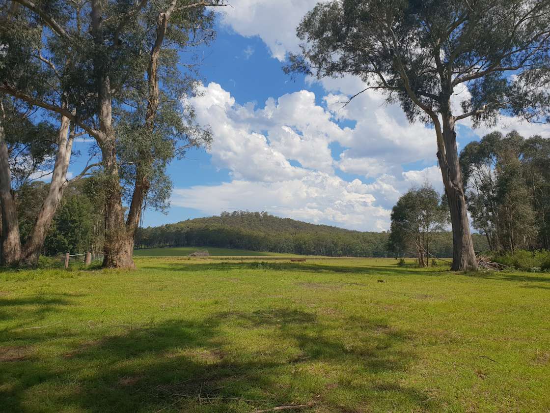Brooman, on the Clyde River - Hipcamp in Brooman, New South Wales