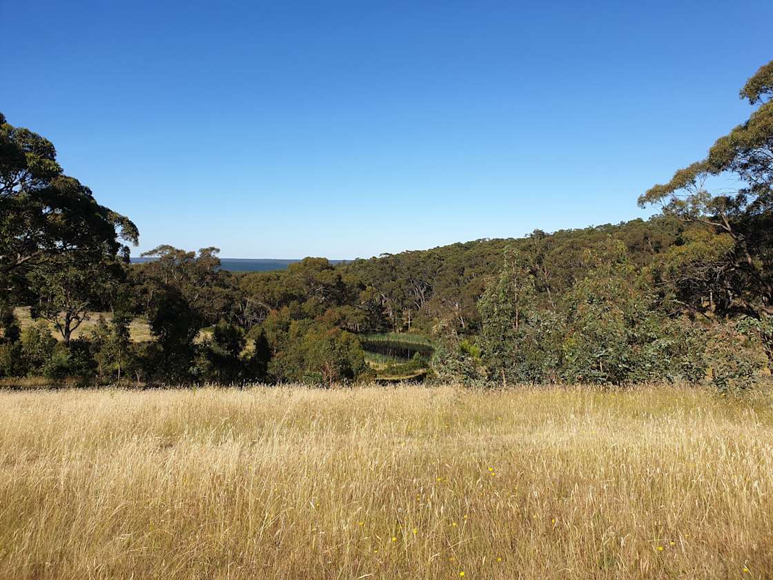 Jenni L.’s Land - Hipcamp in Scotsburn, Victoria