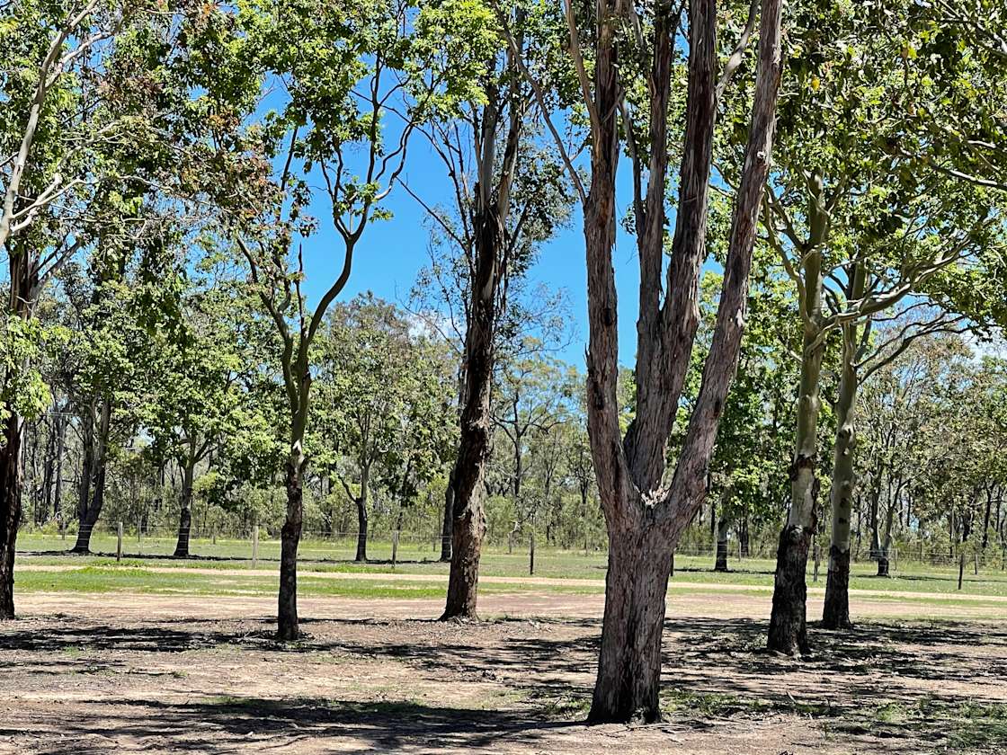 Susan River Homestead - Hipcamp in Susan River, Queensland