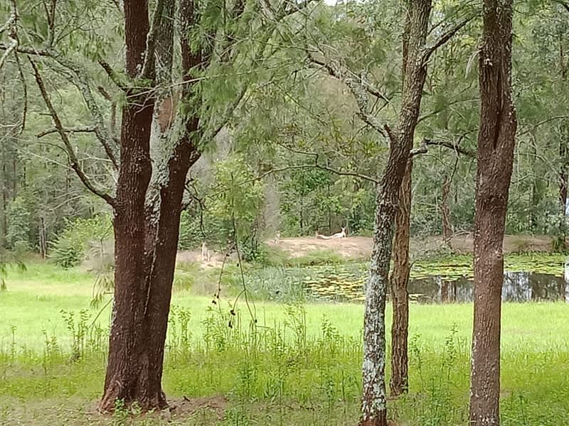 Stargazer Retreat, Krambach - Hipcamp in Krambach, New South Wales