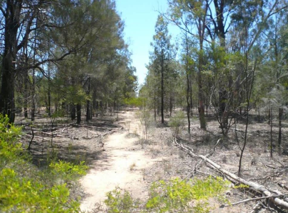 Tara Camp - - Hipcamp in Tara, Queensland