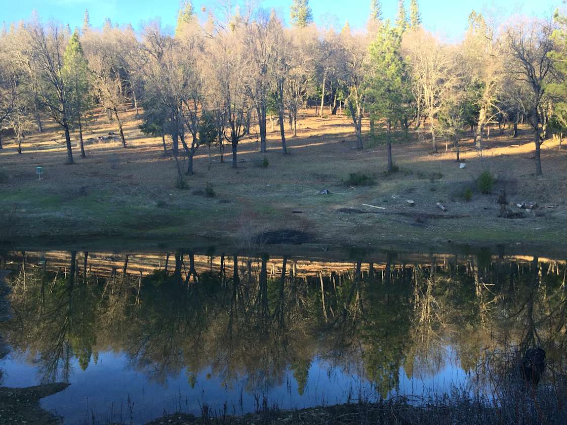 Private Disc Golf Course Camp - Hipcamp in Grass Valley, California