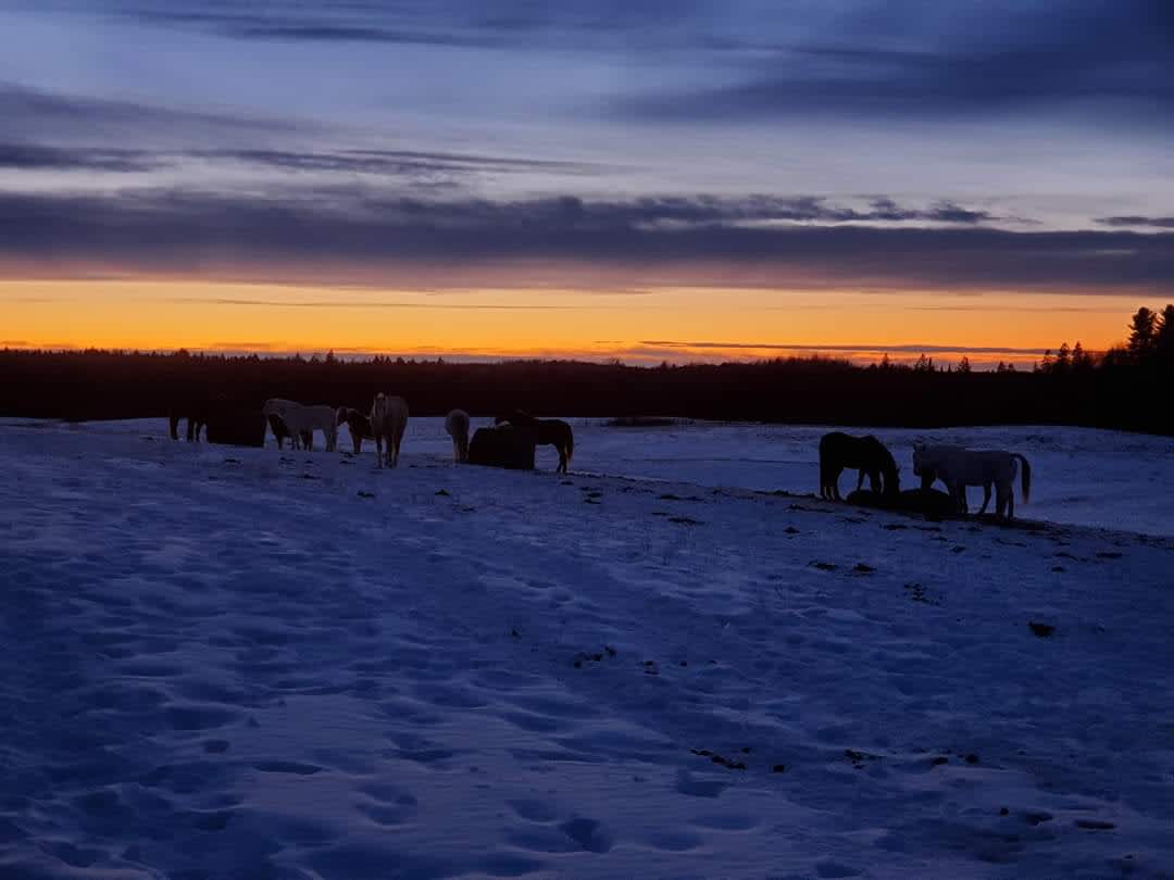 Martin R.’s Land - Hipcamp in Haley Station, Ontario