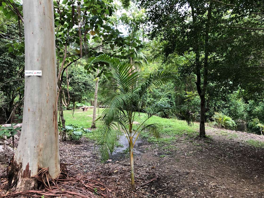 Cedar Creek Camp Ground - Hipcamp in Cedar Creek, Queensland