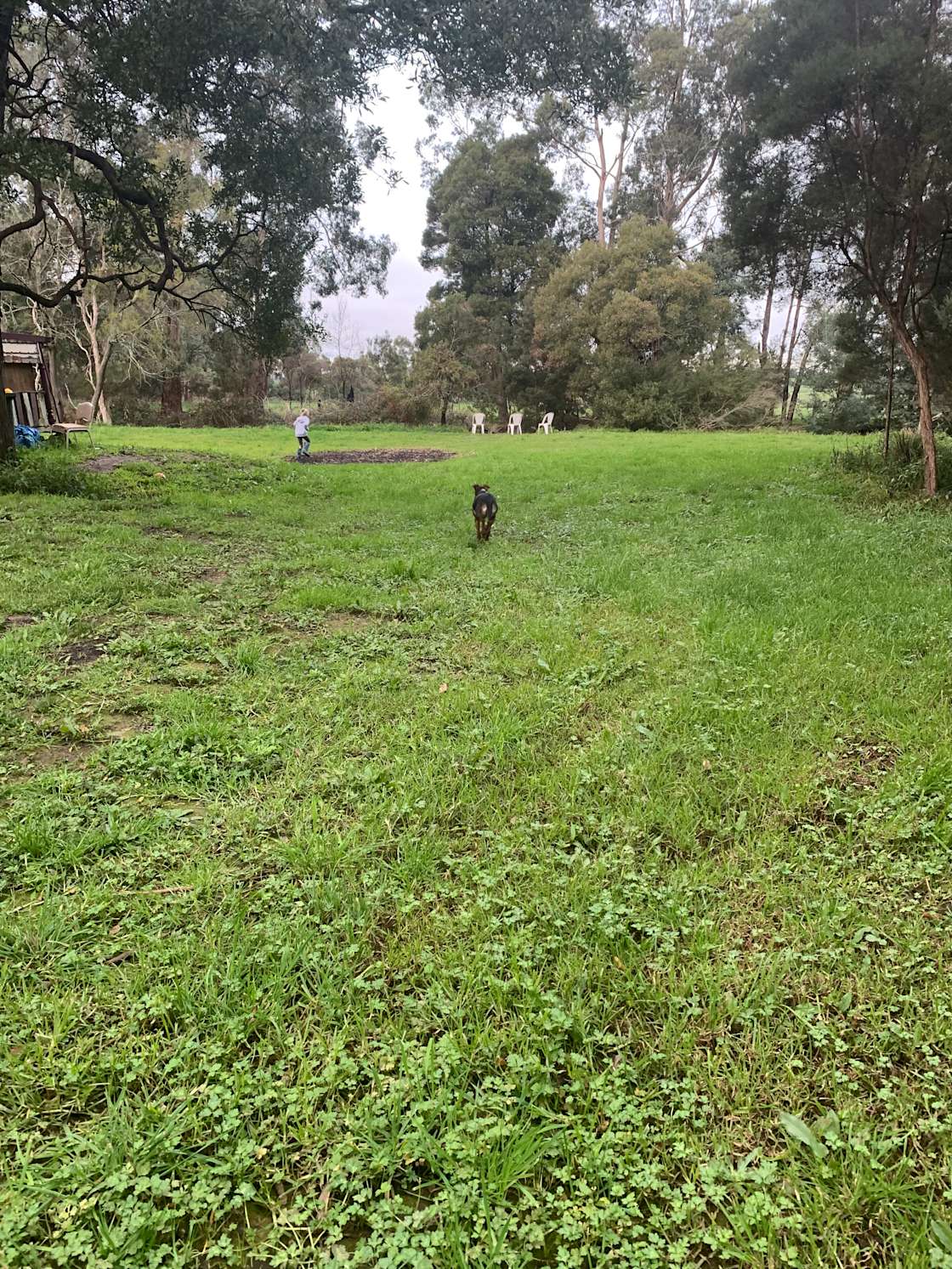 Kingfisher by The Tarwin River - Hipcamp in Leongatha, Victoria
