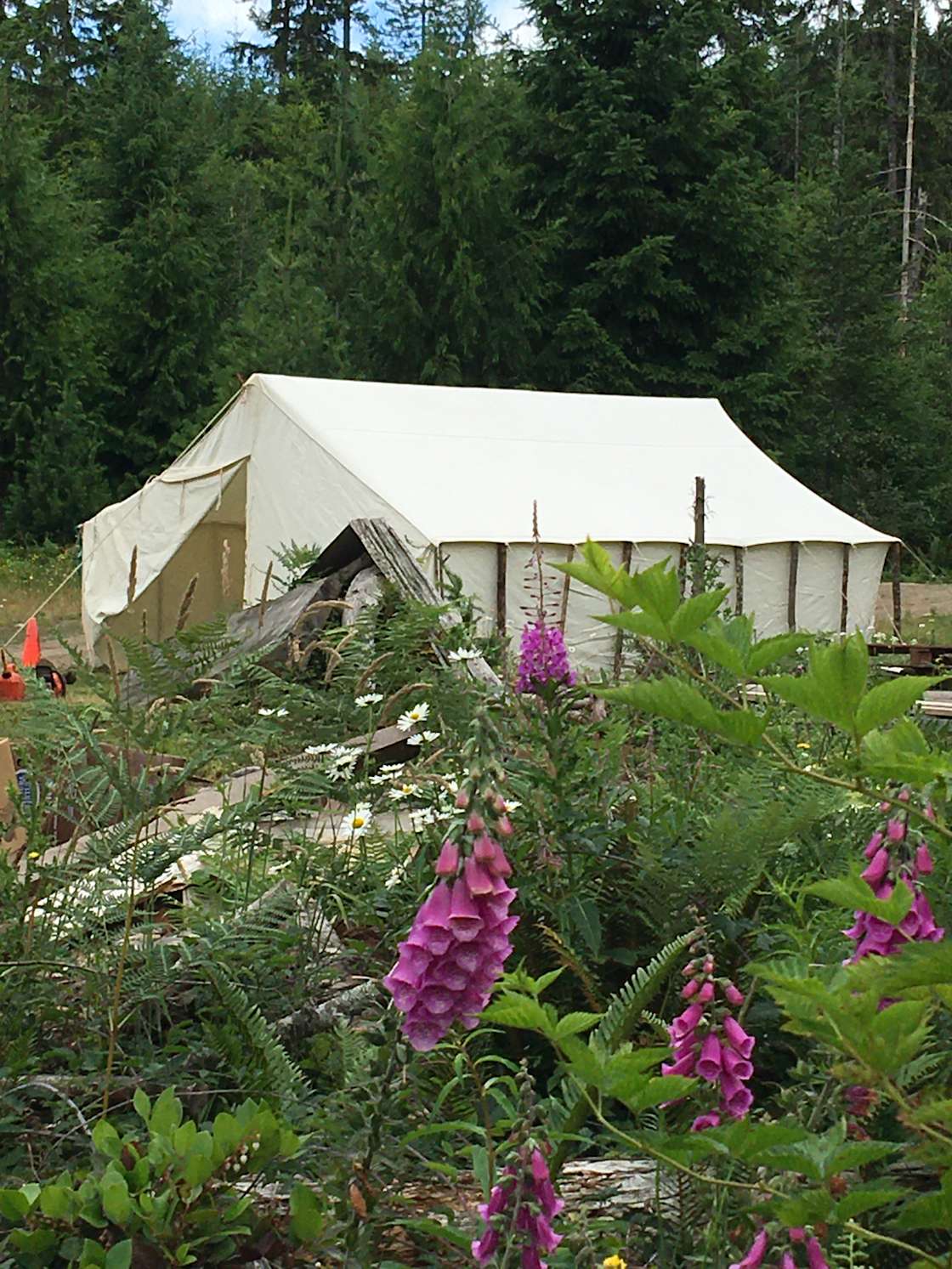 Maple Heart Ranch - Homestead - Hipcamp in Shawnigan Lake, British Columbia