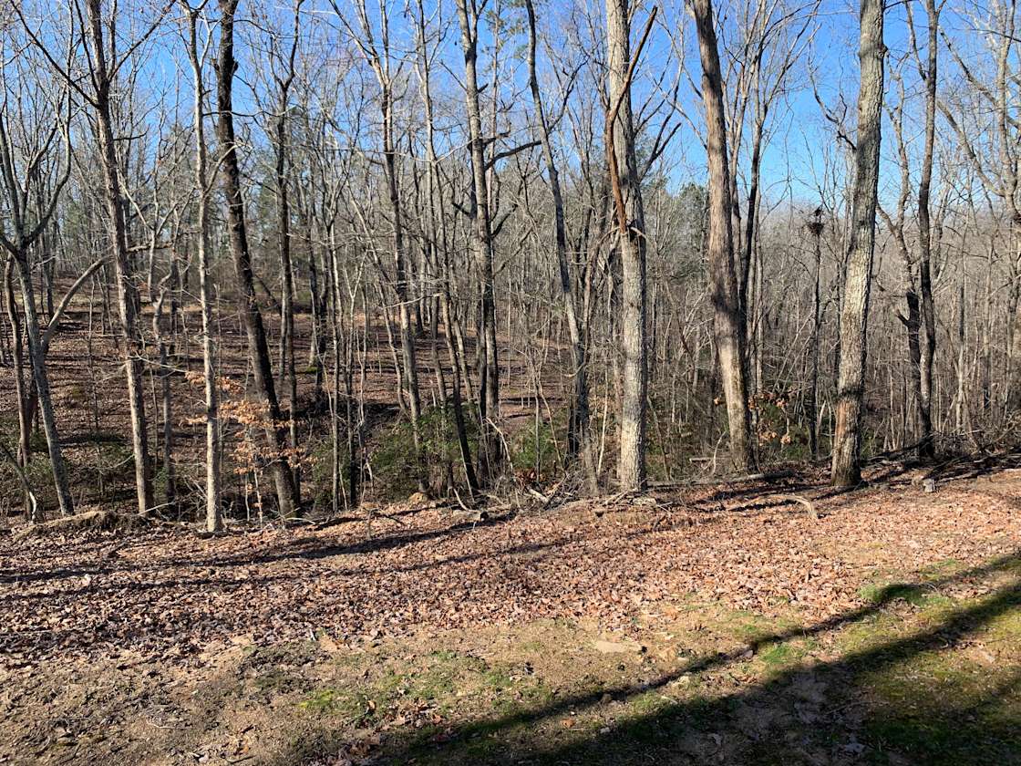 Fun Camping Compound - Hipcamp in Canton, Georgia