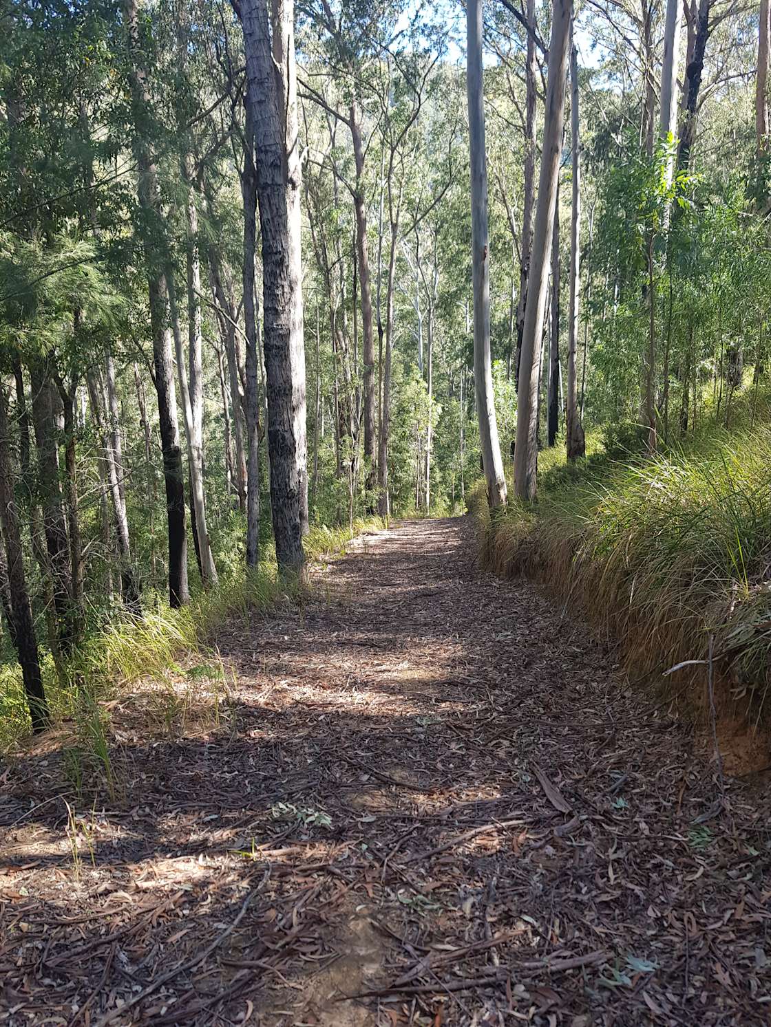 Hidden Haven Barrington Tops - Hipcamp in Cobark, New South Wales