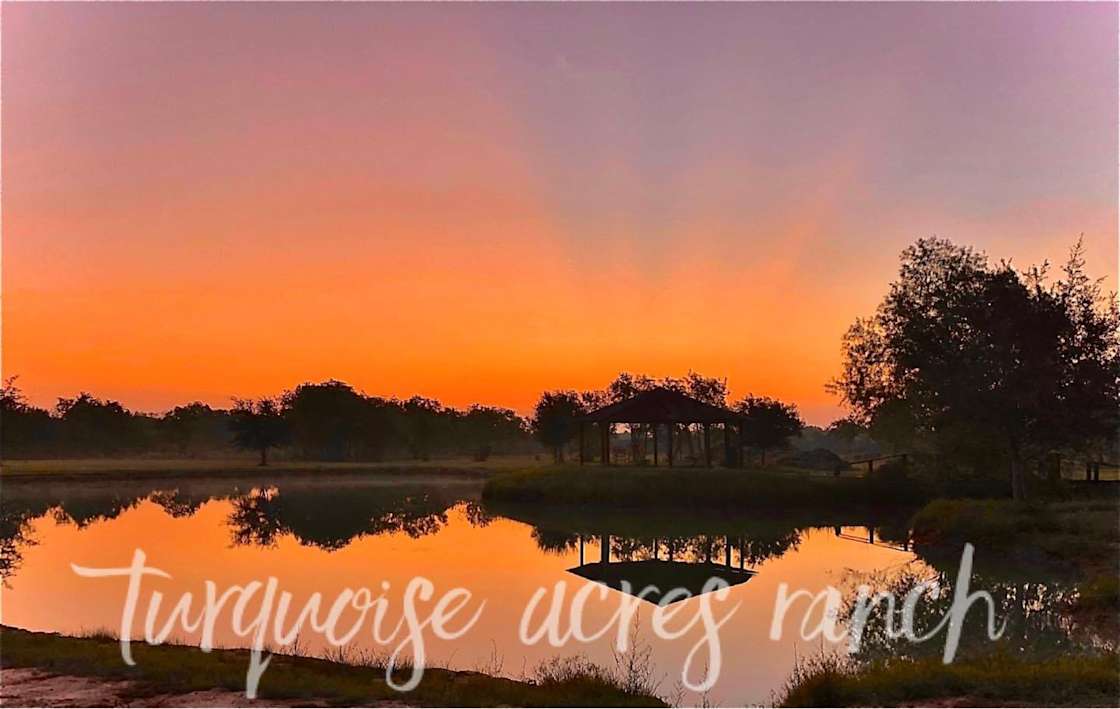 Turquoise Acres Ranch - Hipcamp in Katy, Texas