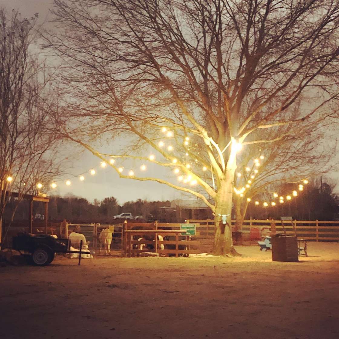 Turquoise Acres Ranch - Hipcamp in Katy, Texas