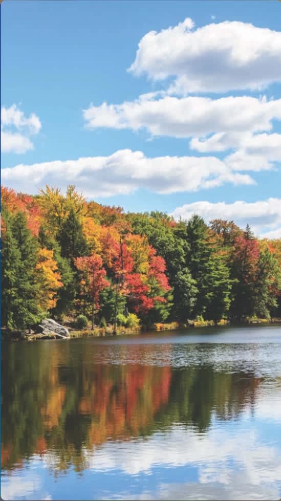 Lake View Camp - Hipcamp in Sarver, Pennsylvania