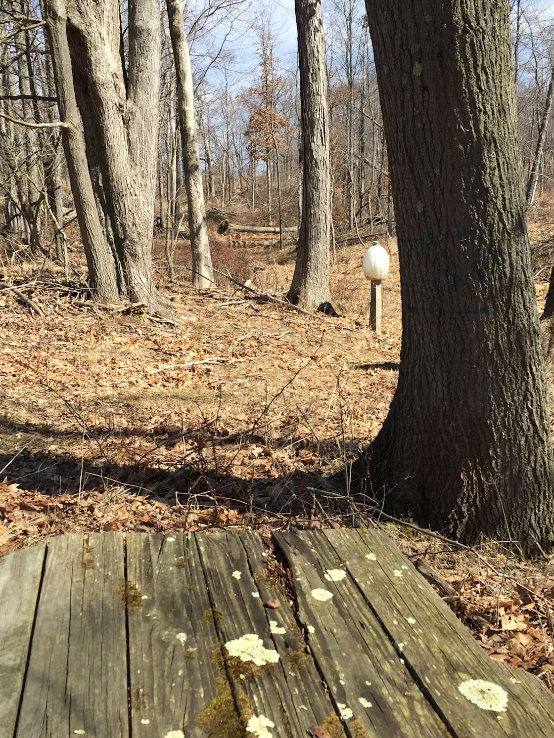 Lake View Camp - Hipcamp in Sarver, Pennsylvania