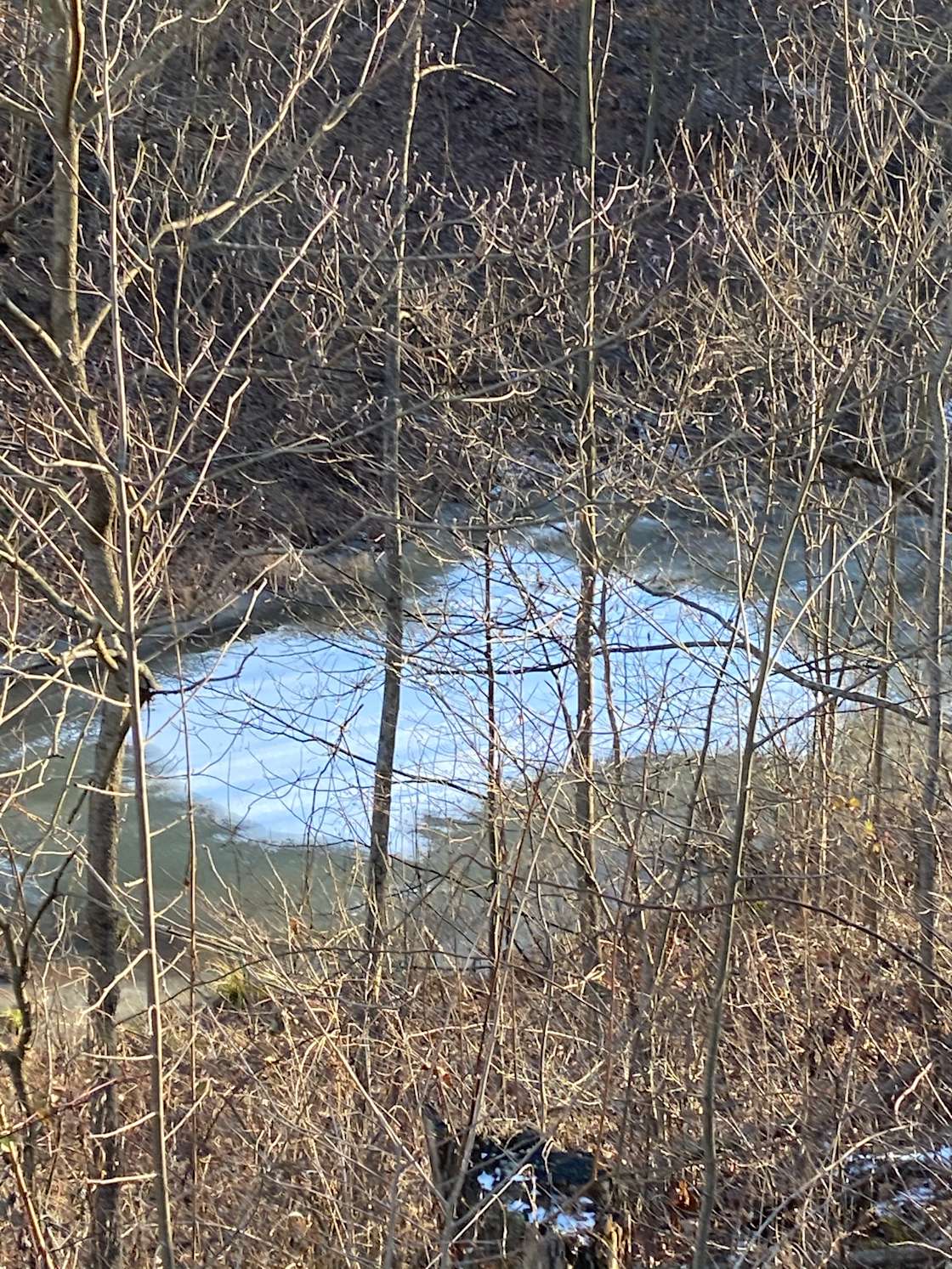 Wooded area access to a large lake - Hipcamp in Poland, Indiana