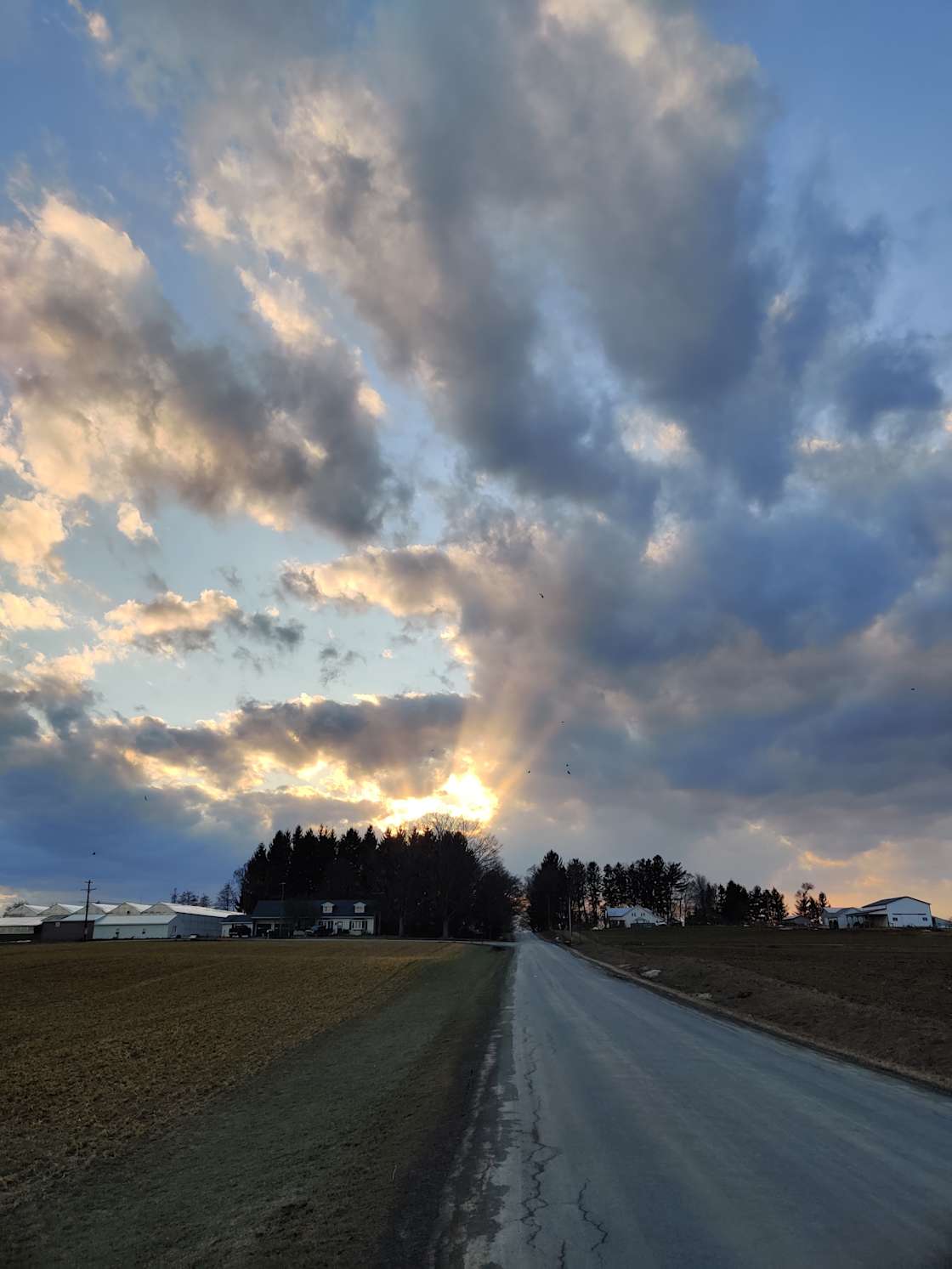 Grisamore Farms - Hipcamp in Genoa, New York