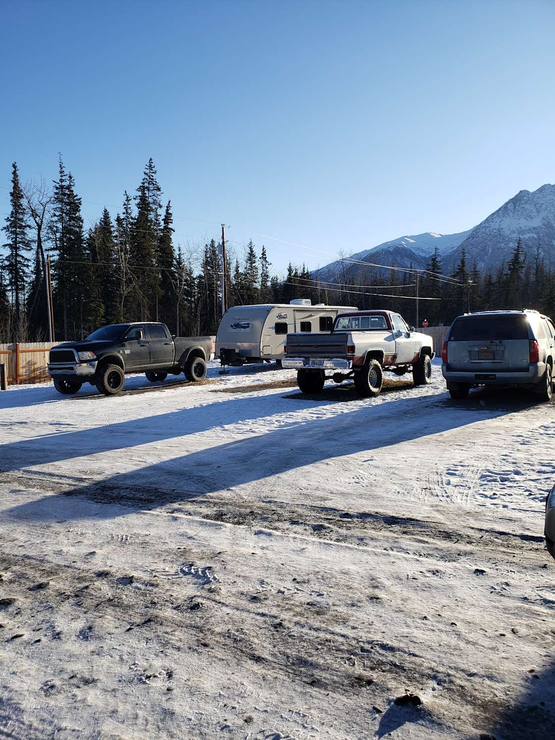 Birch forest - Hipcamp in Knik Fairview, Alaska