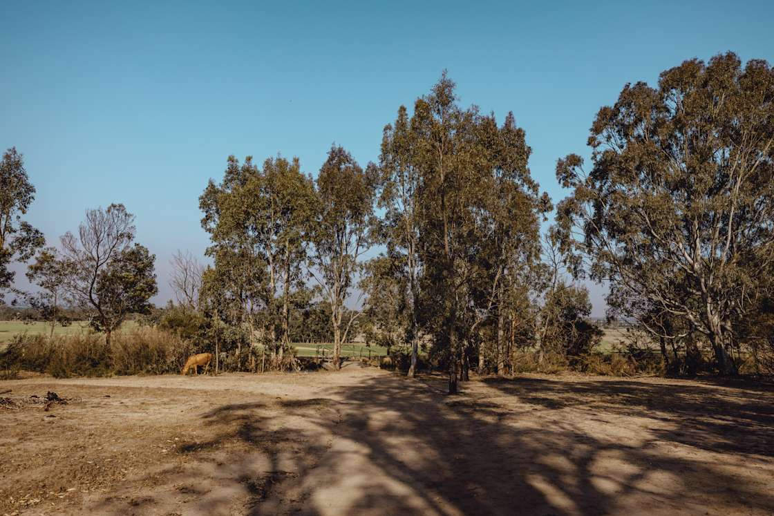 Linga Longa - Hipcamp in Boisdale, Victoria