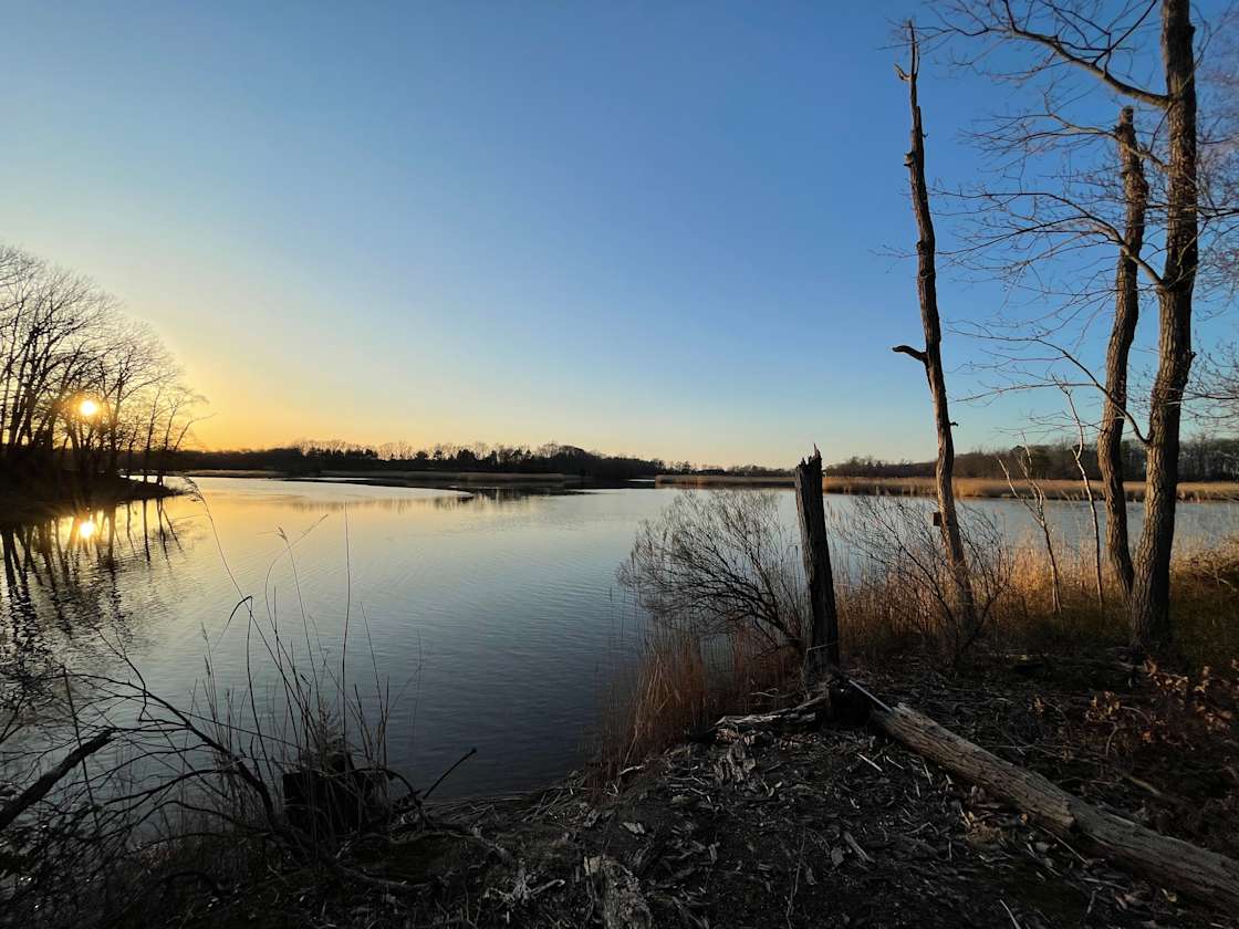 Island Getaway - Hipcamp in Kent Acres, Delaware