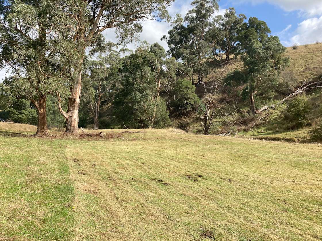 Paul W.’s Land - Hipcamp in Poowong, Victoria