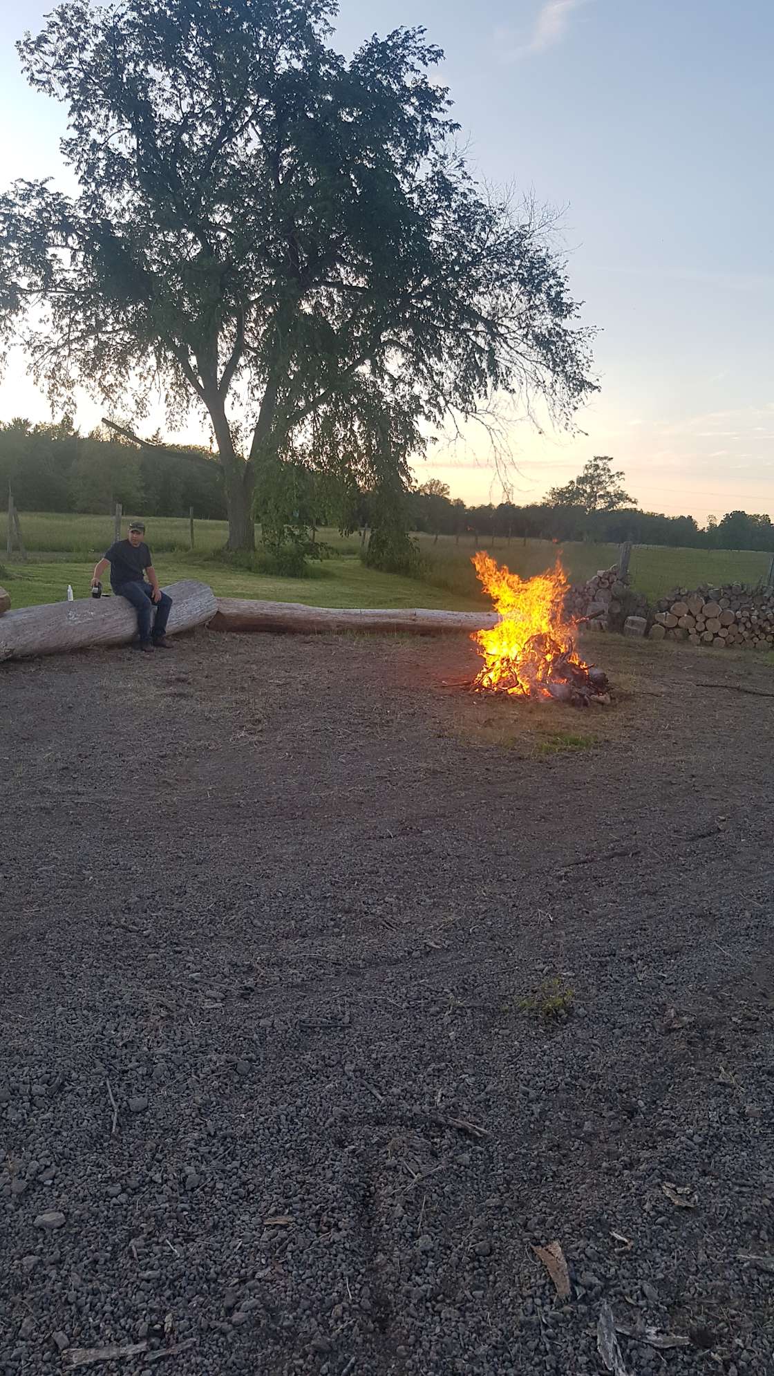 Small Hobby Farm - Tent Camping - Hipcamp in Caistor Centre, Ontario