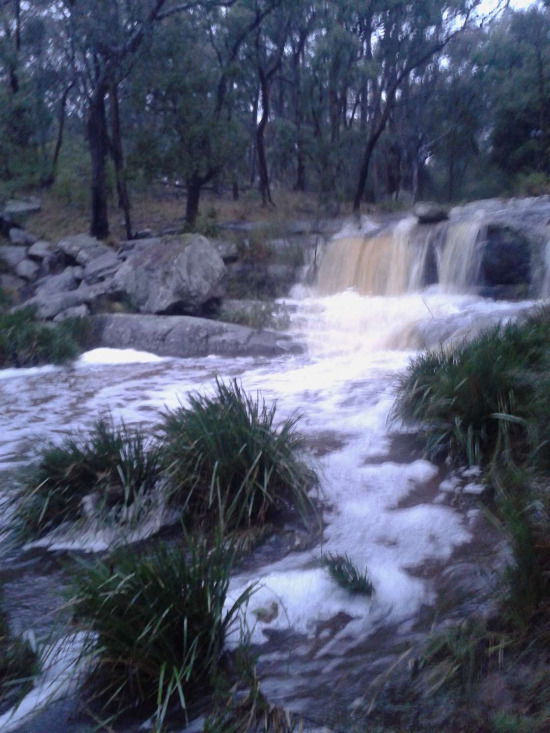 Splitters Swamp Creek Waterfall - Hipcamp in Bolivia, New South Wales