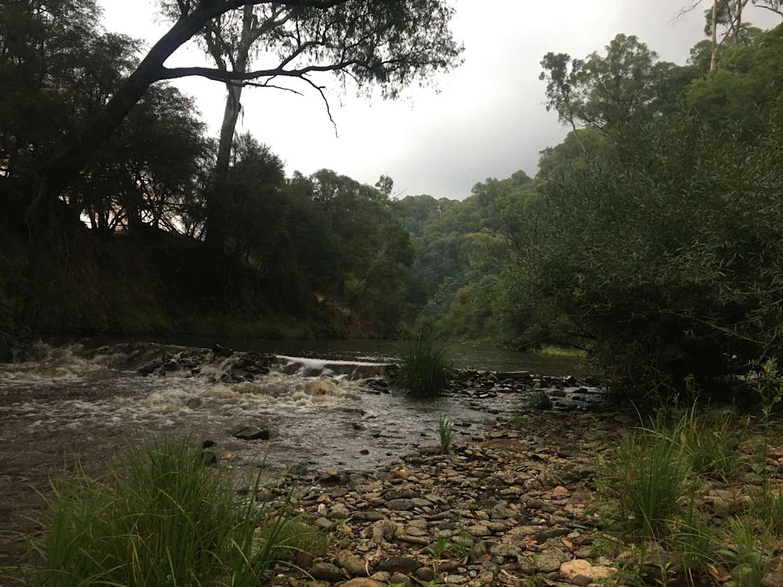 Buckland River, Porepunkah - Hipcamp in Bright, Victoria
