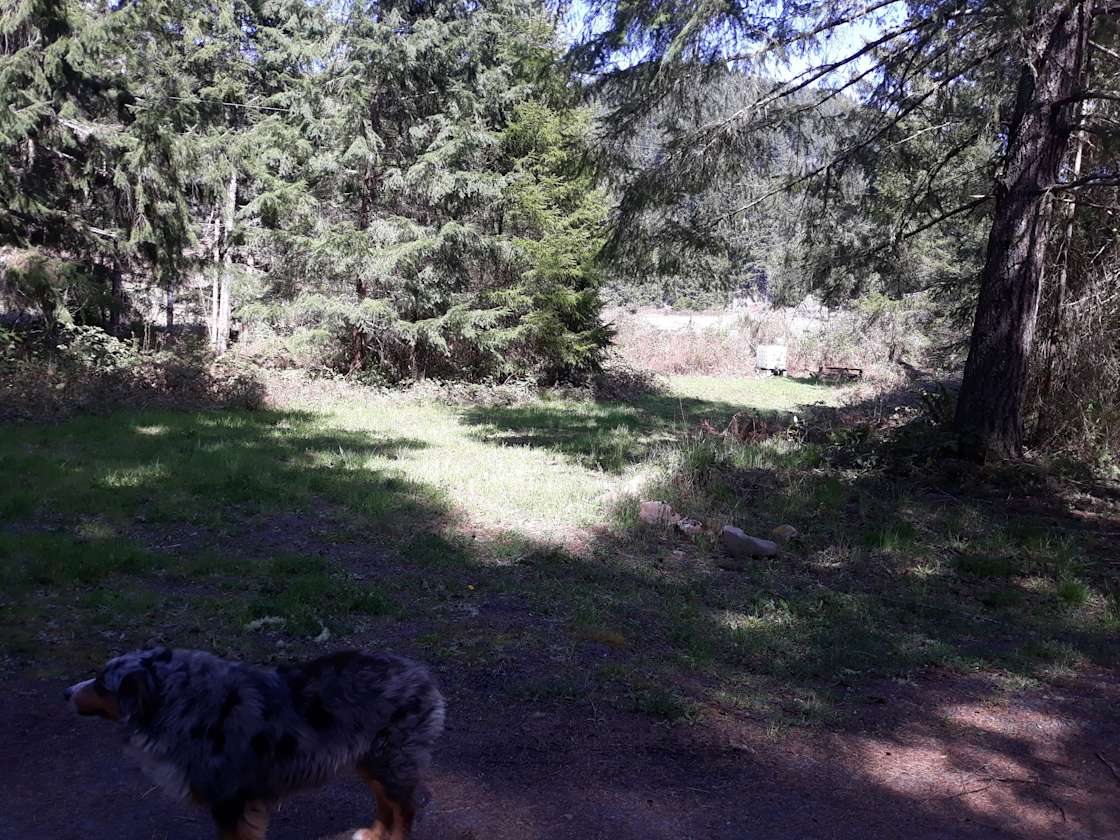Peaceful Retreat - Hipcamp in Culp Creek, Oregon