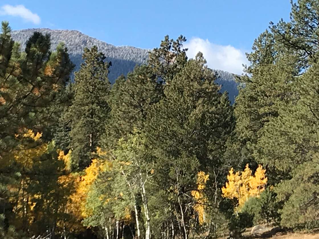 Rustic Creek Ranch - Hipcamp in Bailey, Colorado