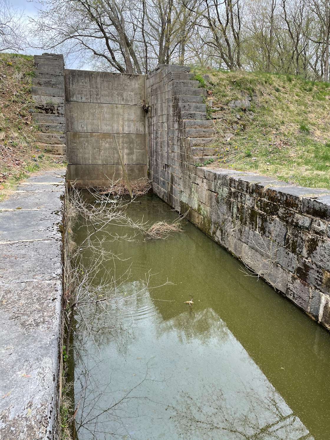 Mulehalla - Hipcamp in Williamsport, Maryland