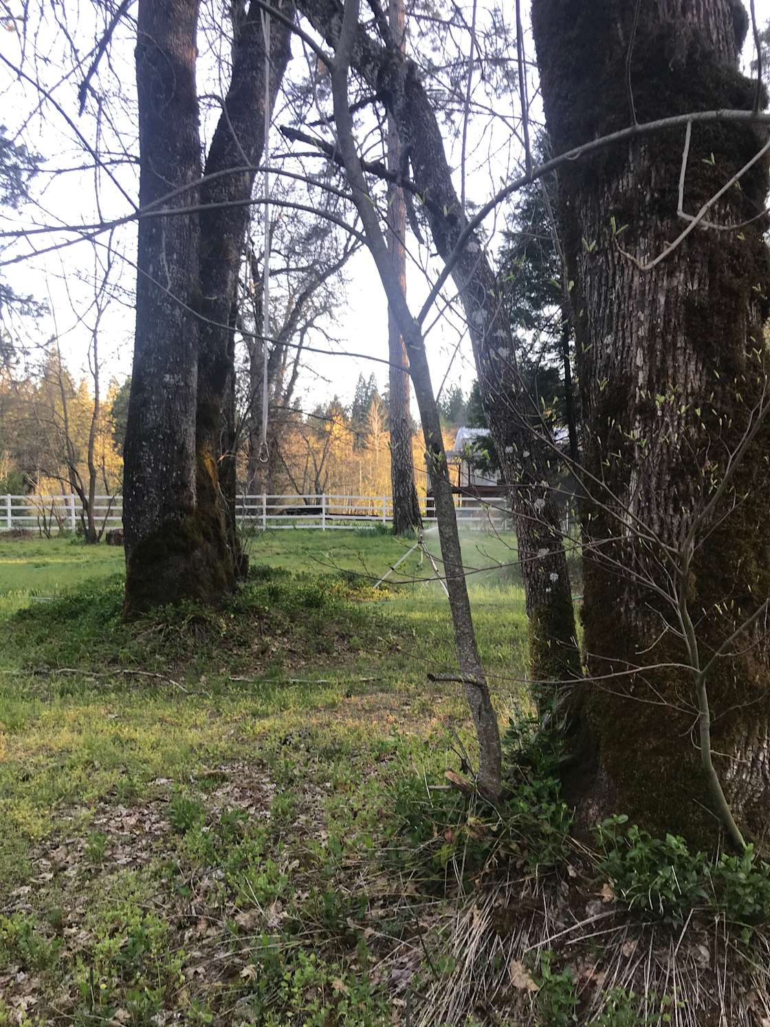 Castella Castle Creek Glamping Park - Hipcamp in Castella, California