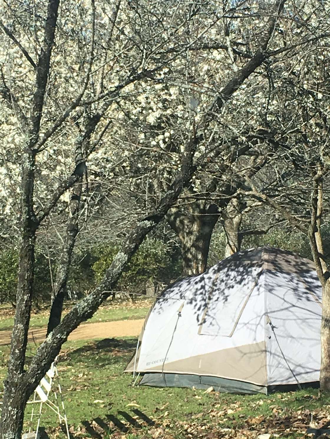 Buckland River, Porepunkah - Hipcamp in Bright, Victoria