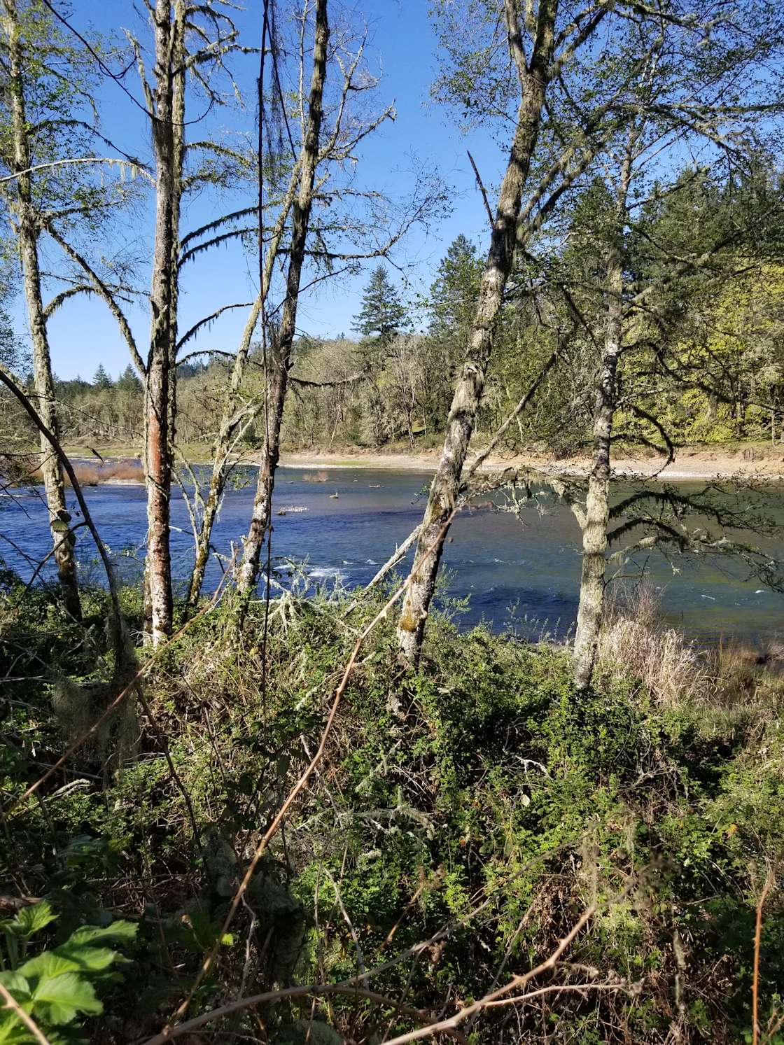 River Ranch Campground - Hipcamp in Roseburg North, Oregon