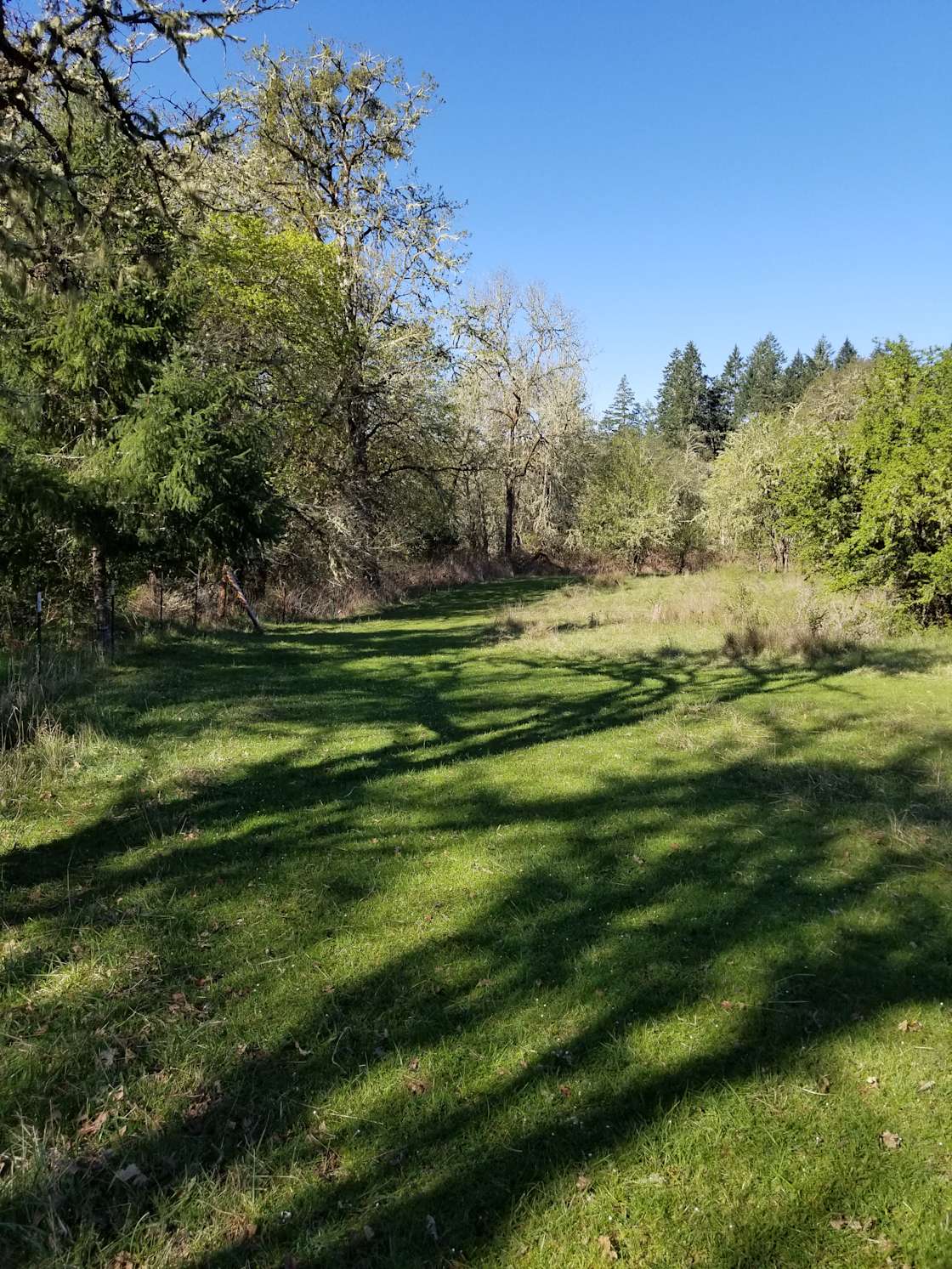 River Ranch Campground - Hipcamp in Roseburg, Oregon