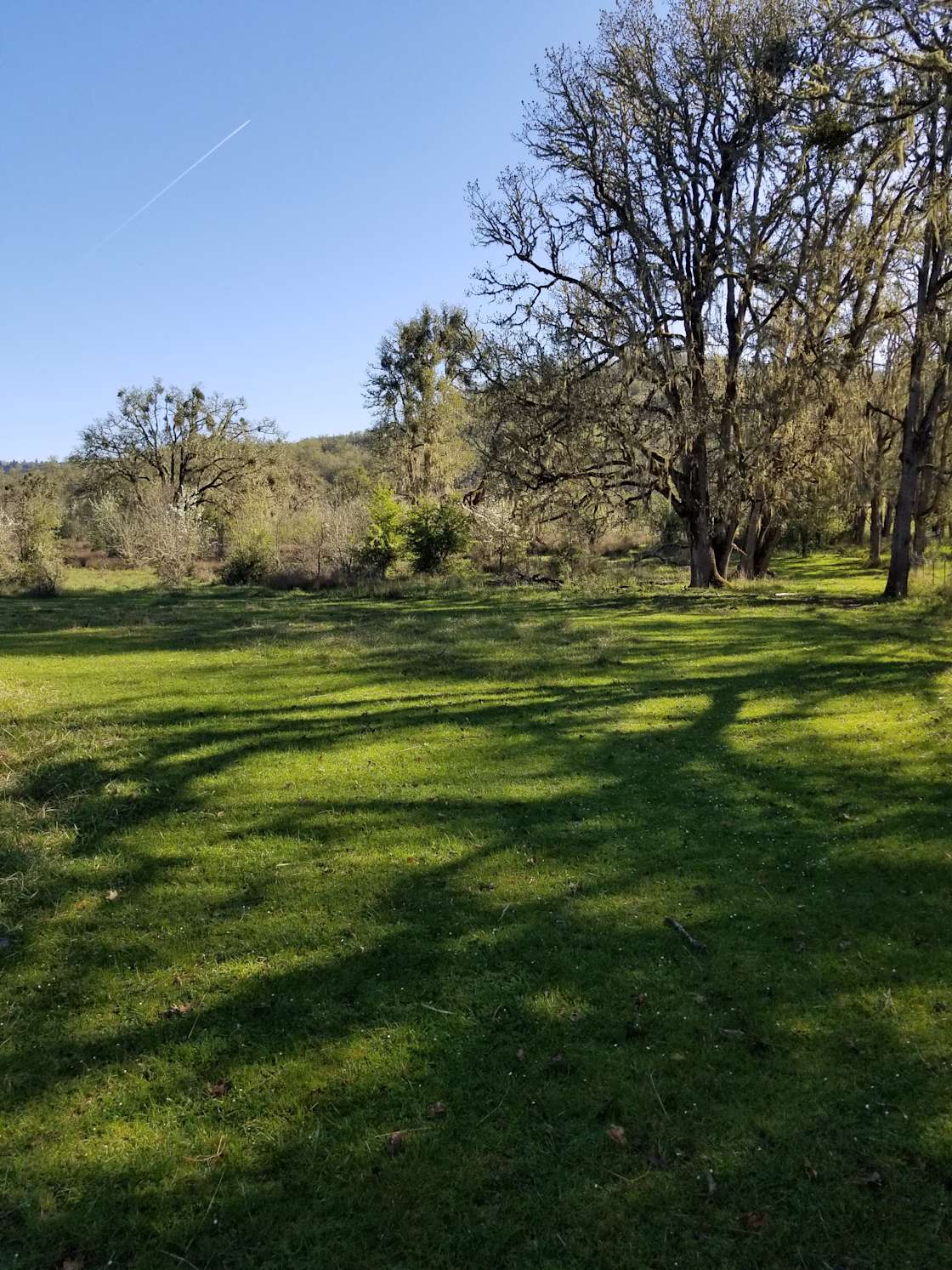 River Ranch Campground - Hipcamp in Roseburg North, Oregon