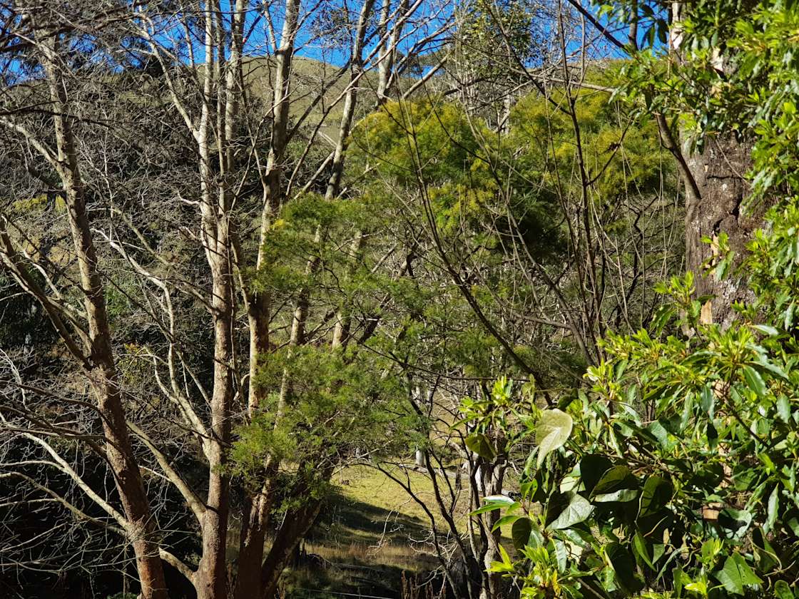 Hidden Haven Barrington Tops - Hipcamp in Cobark, New South Wales