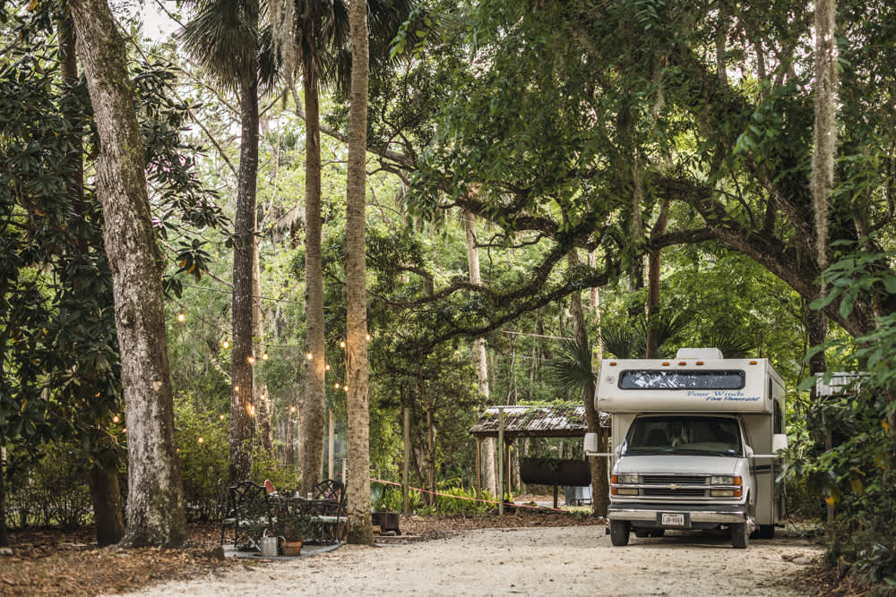 Homosassa Springs RV site - Hipcamp in Homosassa, Florida