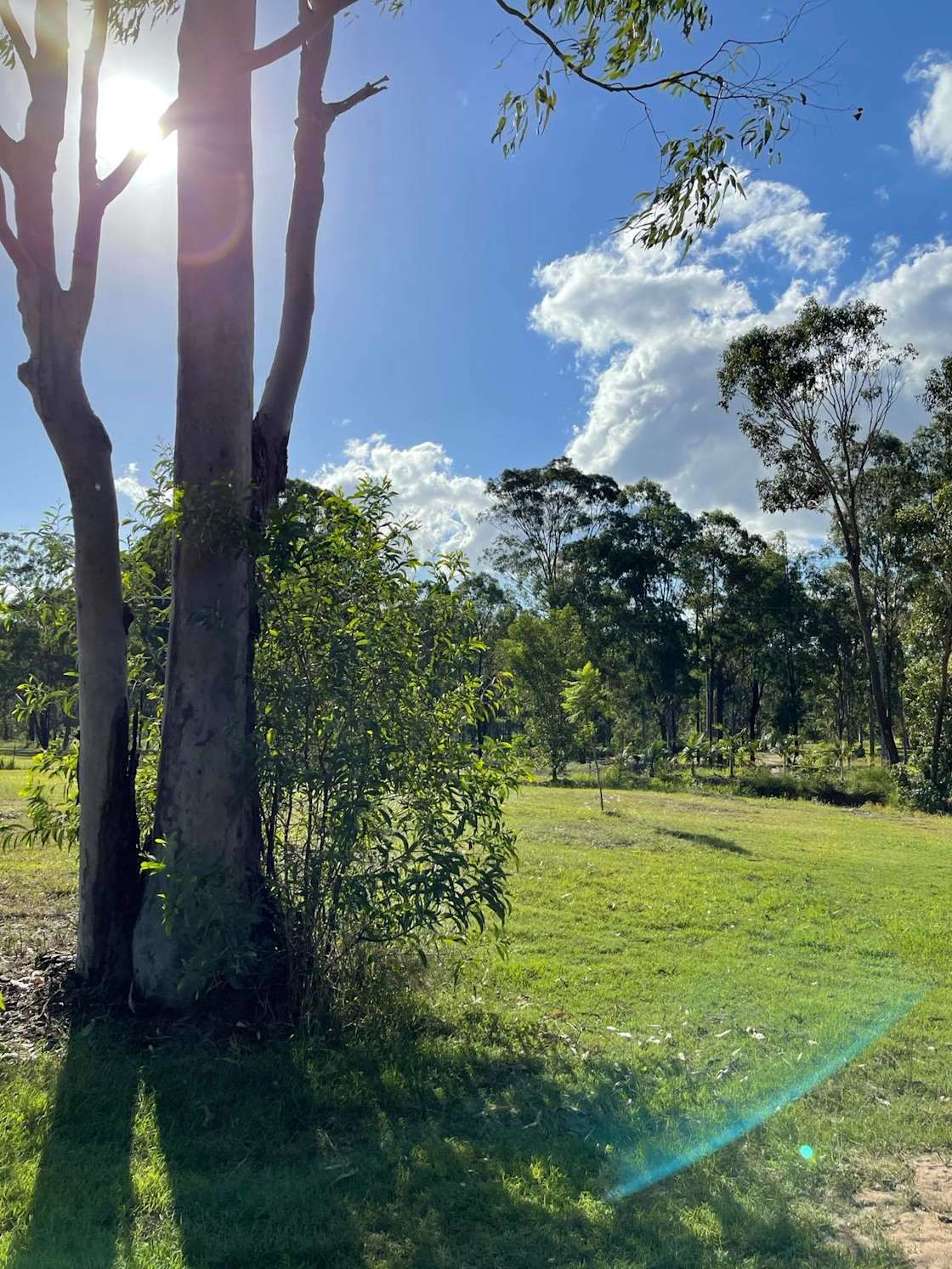 Troy D.’s Land, Curra - Hipcamp in Curra, Queensland