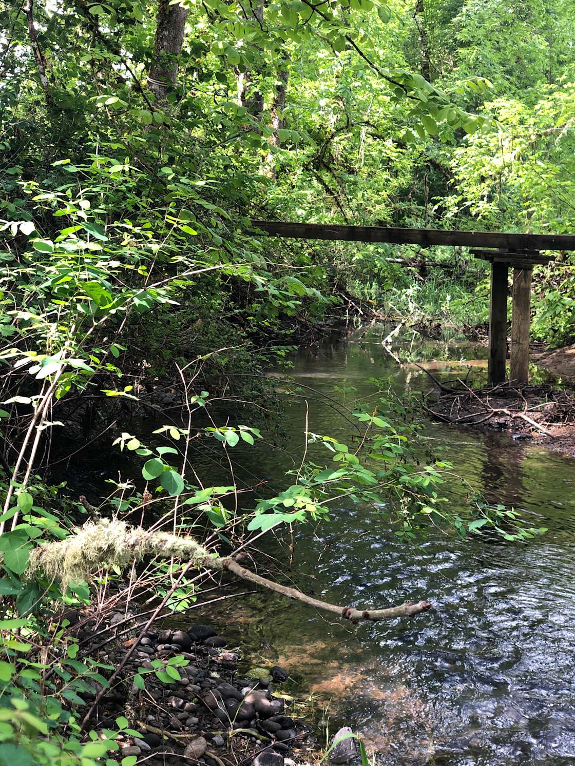 A Pleasant Place - Hipcamp in Dexter, Oregon