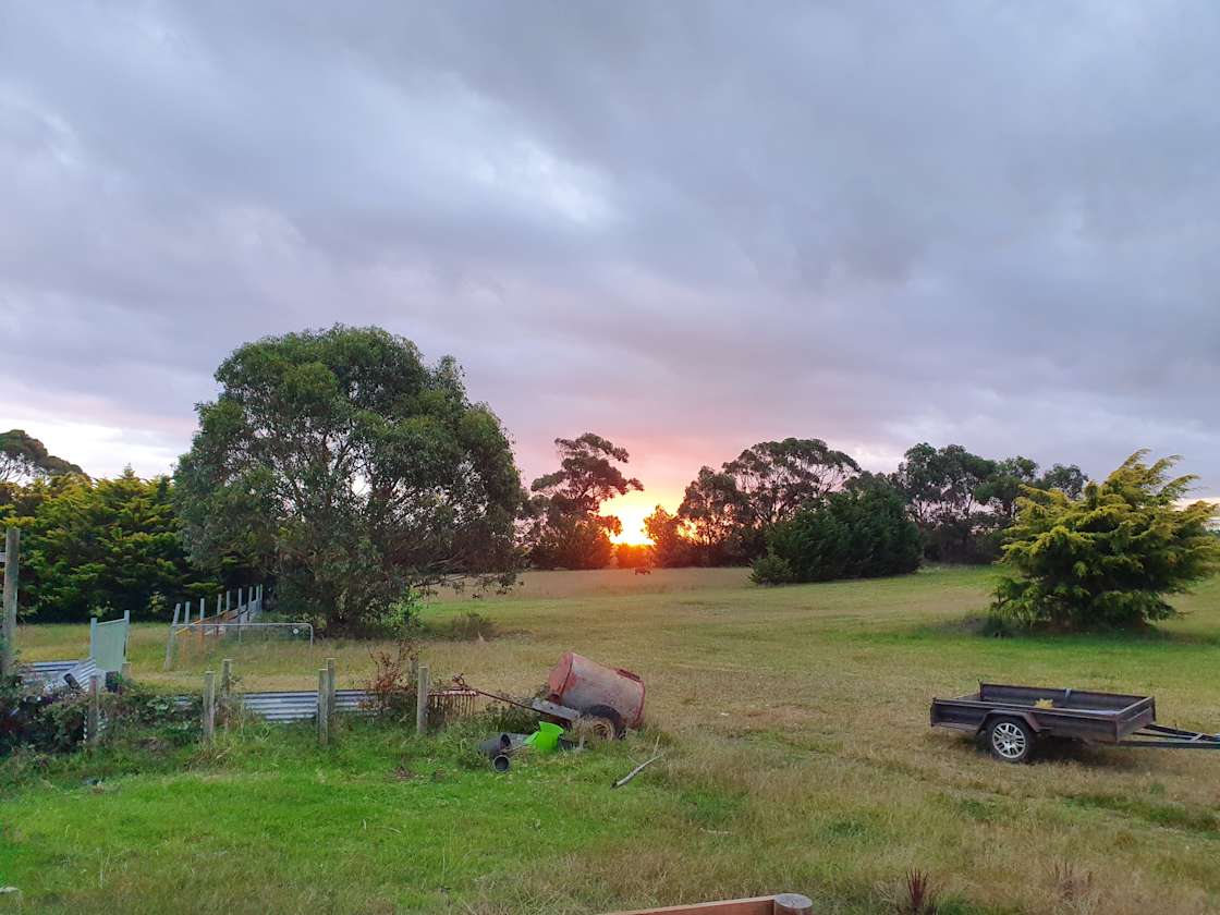 Marlo Natural Farm - Hipcamp in Marlo, Victoria